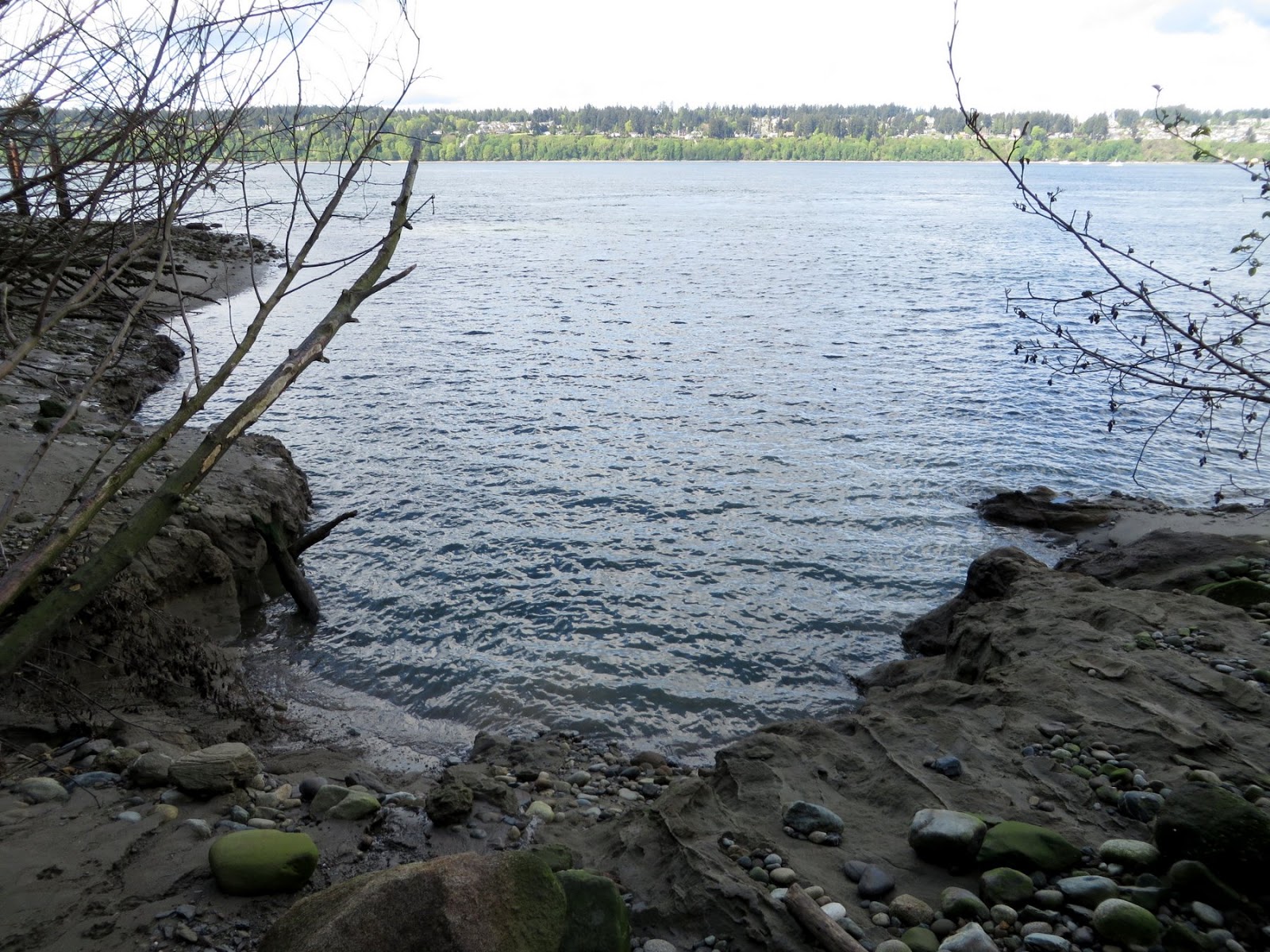 Gravel Beach: Point Defiance