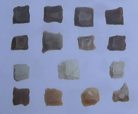 The Treasure Beaches Report Direct From Florida's Treasure Coast.: 12 ...