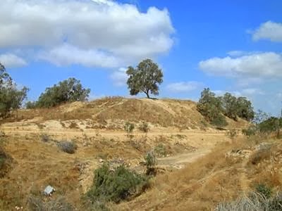 BÍBLIA E ARQUEOLOGIA: Gerar - Também conhecida como Tel Haror , Tell ...