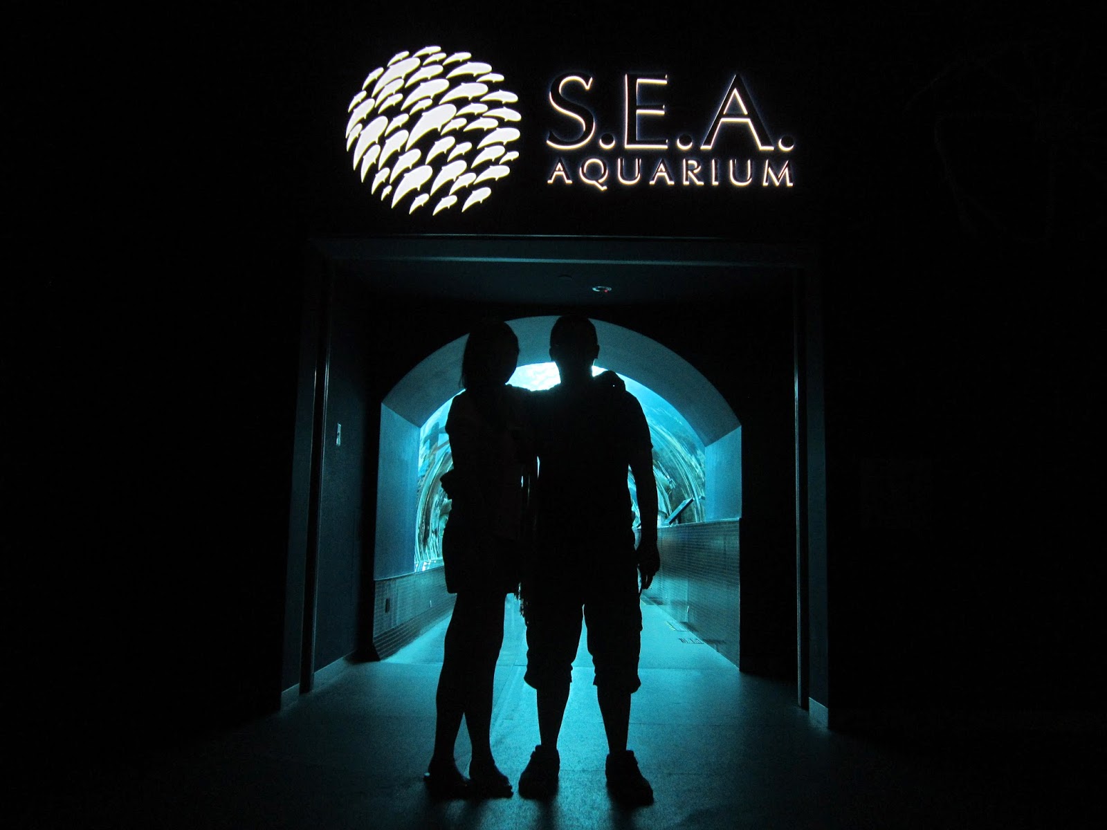 Joseph Salonga Opportunity: PAANO MAG JOIN O SUMALI SA UNO?