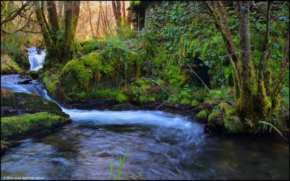 XOAN ARCO DA VELLA: FERVENZA DE SEGÓN - QUINTILLÁN