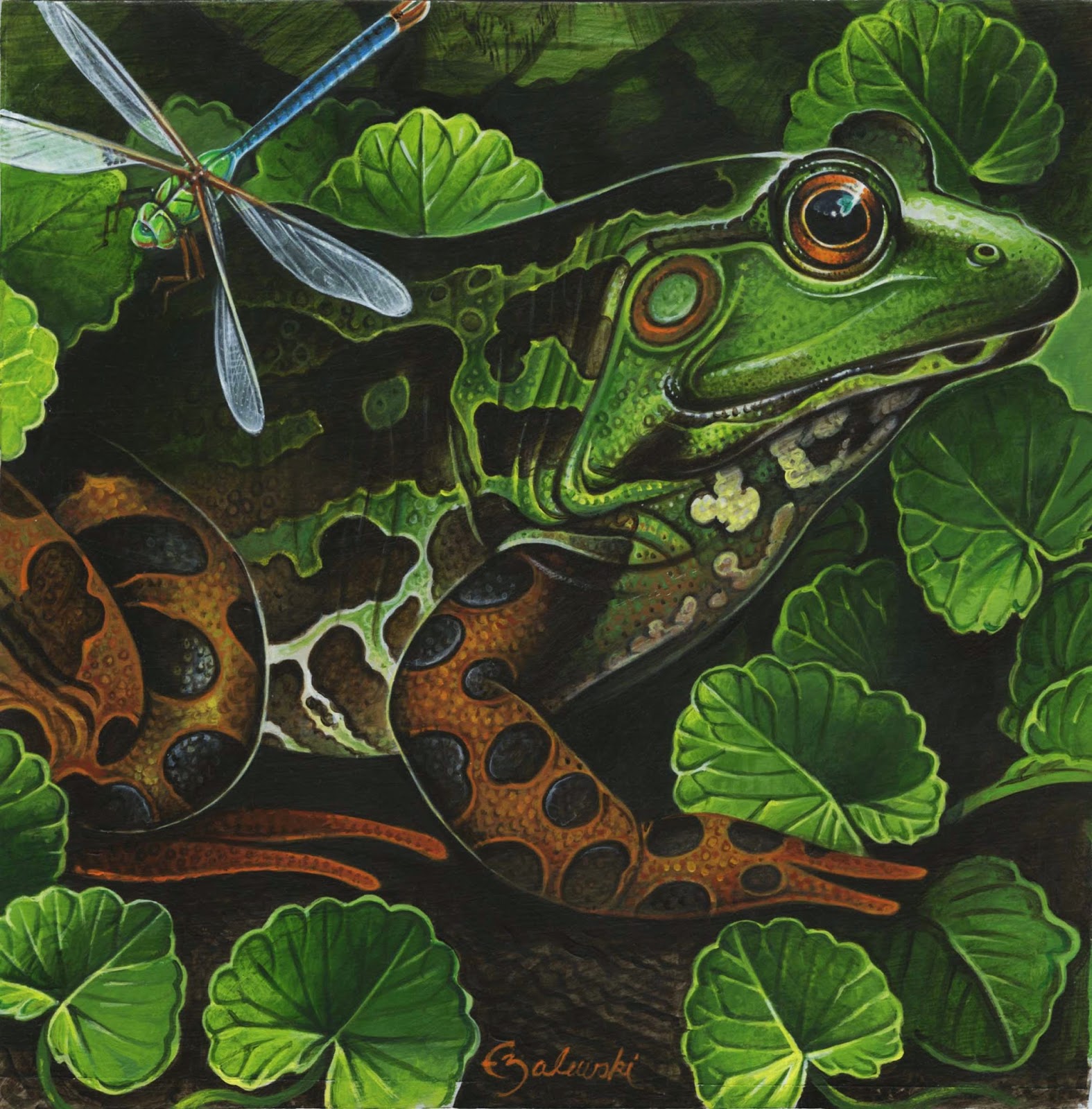 todd zalewski illustration