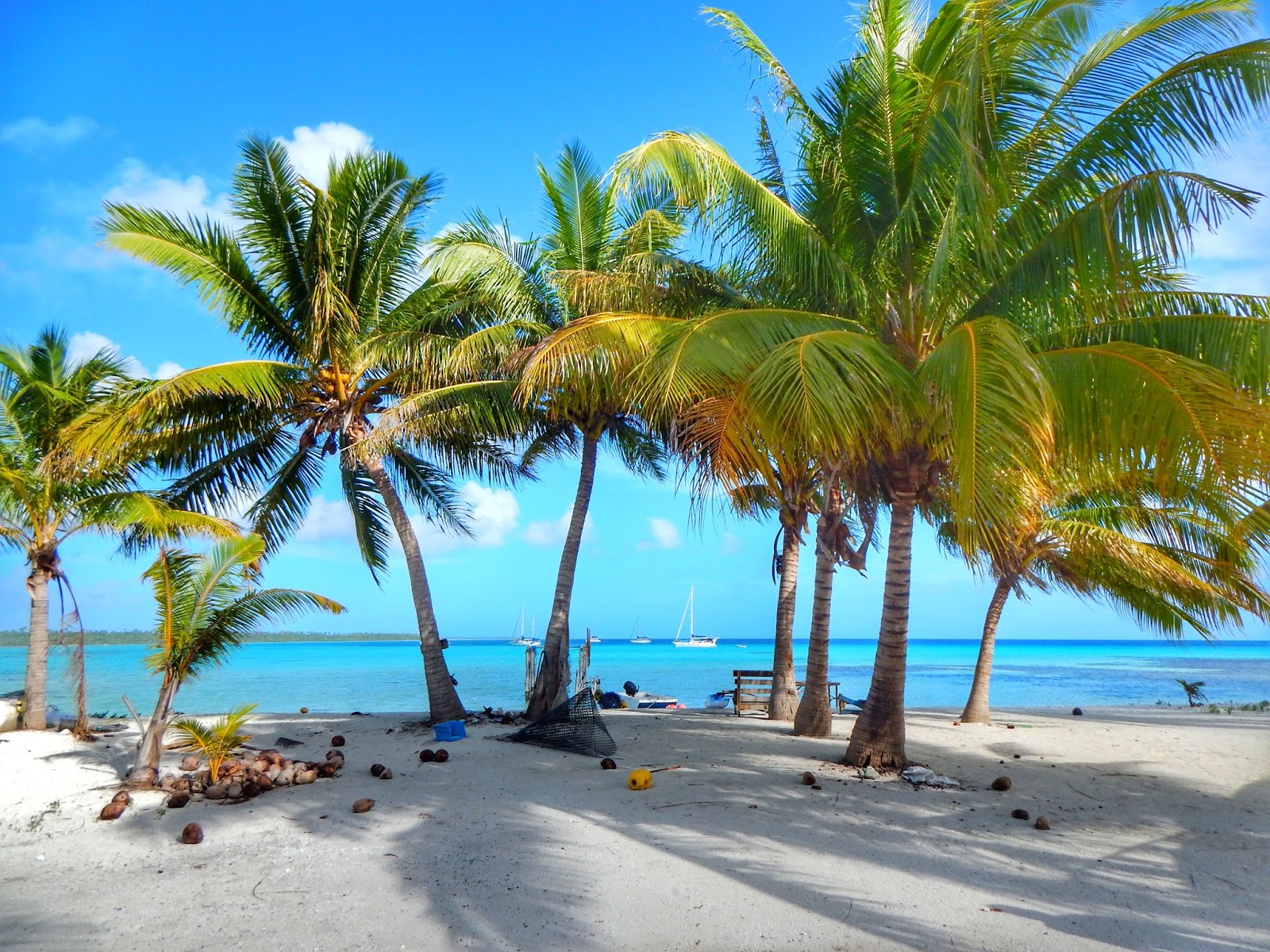 Sailing with Terrapin: French Polynesia's best kept secret. Mopelia