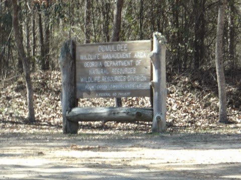 Walkabout With Wheels Blog: Offroading in the Ocmulgee Wildlife ...