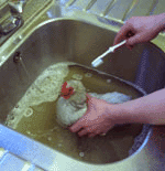 Coleys chickens: How to wash your chicken