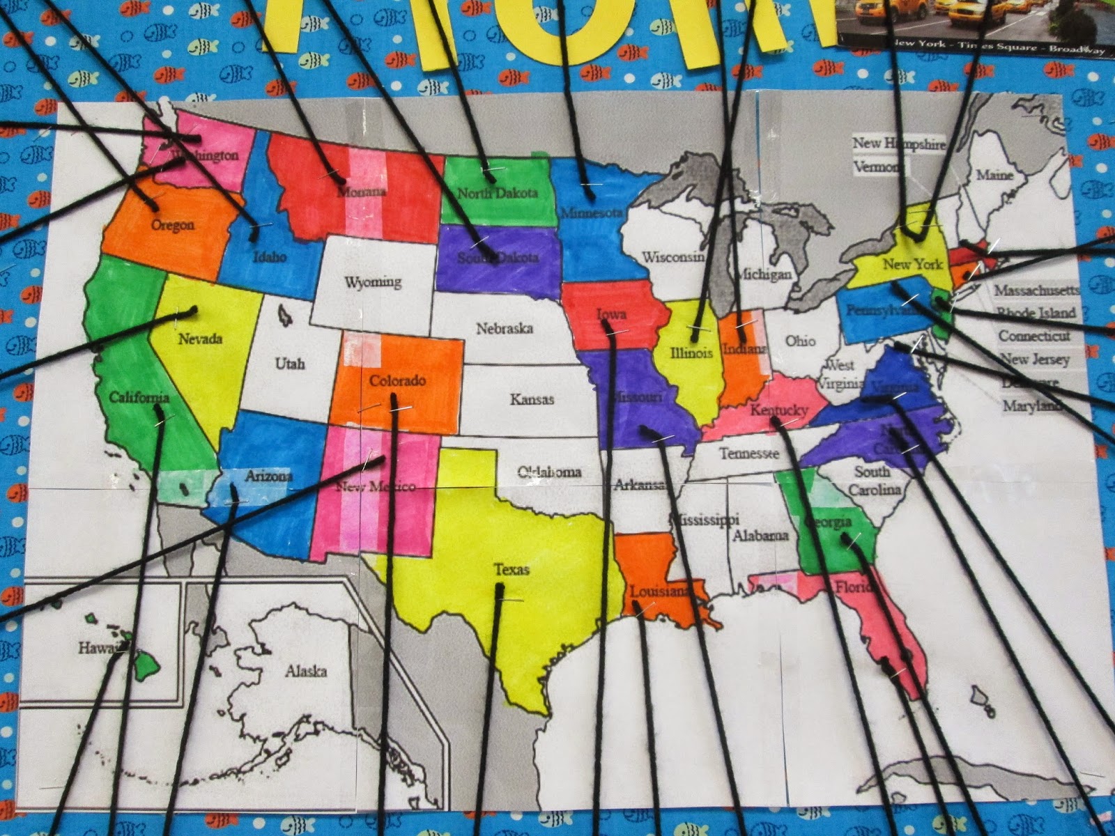 Adventures in Third Grade