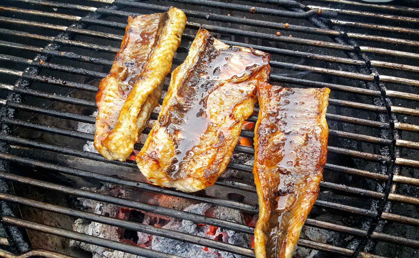 Anguille grillée sauce Unagi (Unadon)