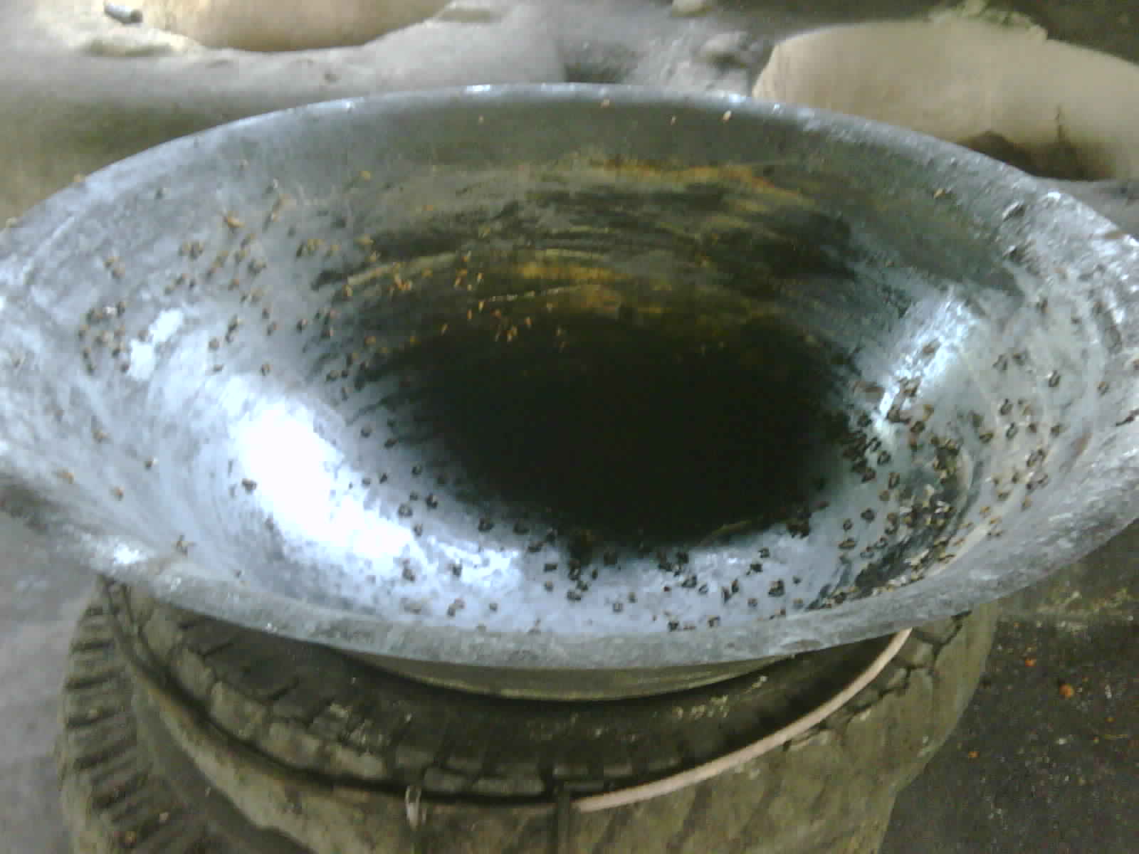 kebun aren: Berkunjung ke Kebun Aren di Balung River Eco Resort, Tawau ...