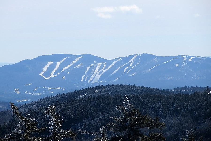 Hiking in the White Mountains: Mount Cardigan