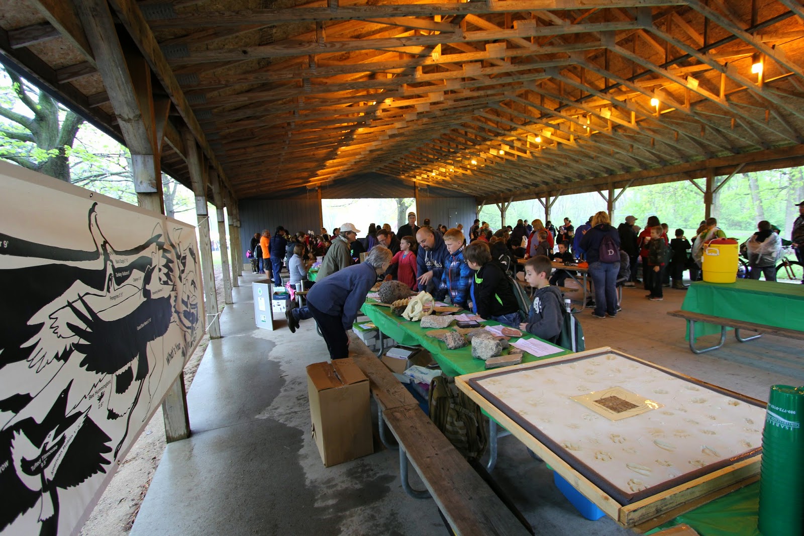 Isabella Conservation District Environmental Education Program: 2015 ...