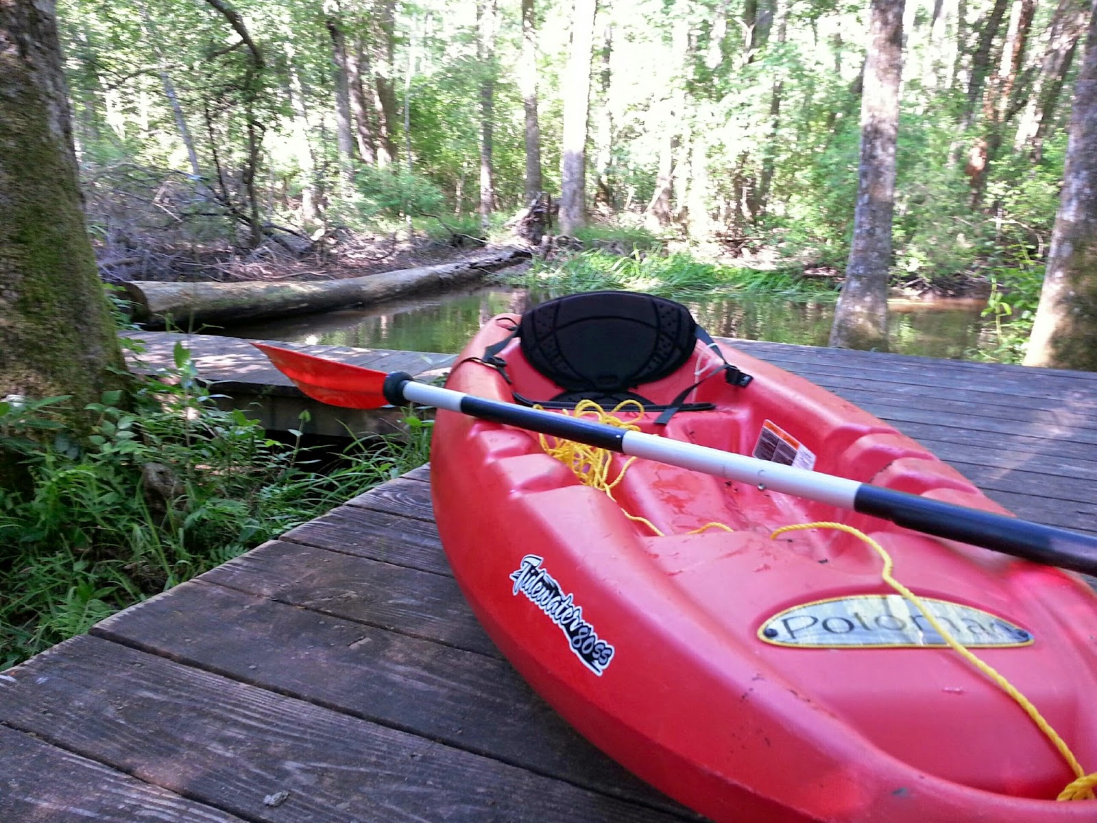 We Are The World: Canoe Trail Aiken State Park, Edisto River, South ...