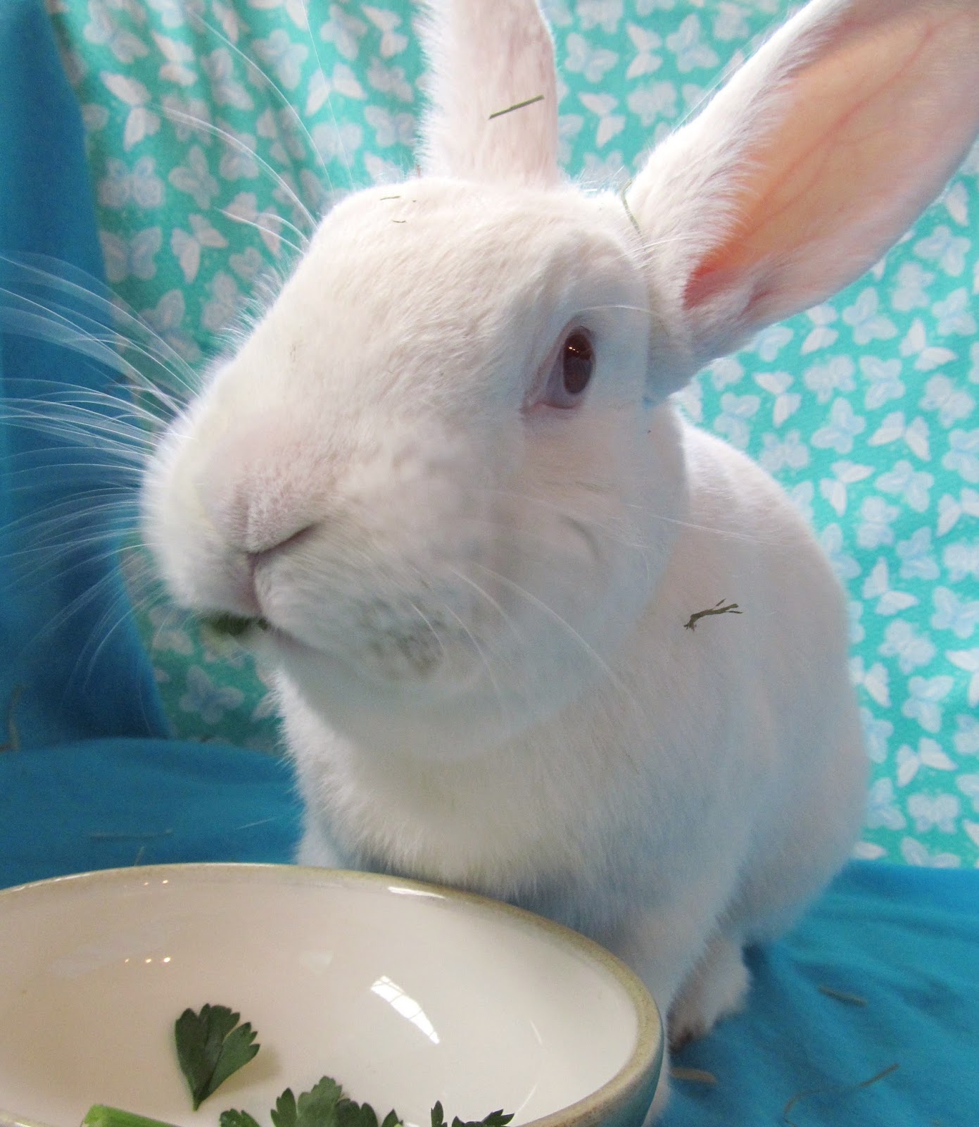 Mrs. Brighton's Busy Life