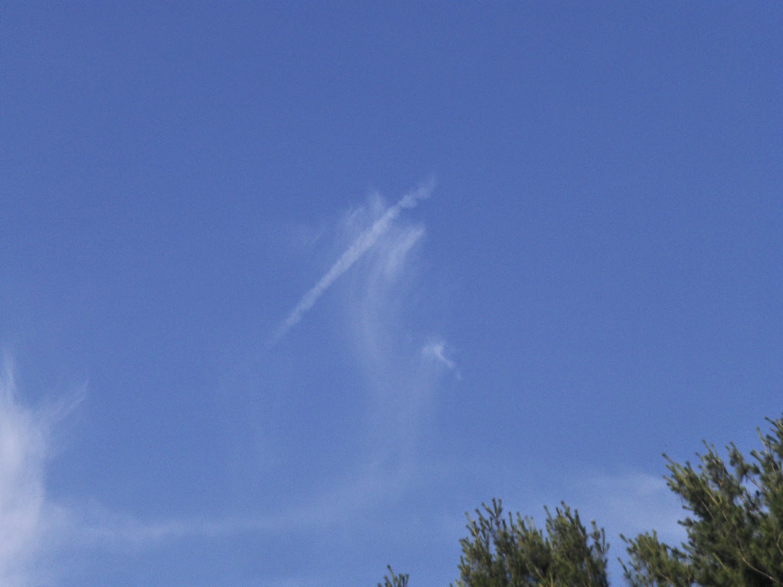 Sphinxmoth: A nice example of the cloud jet trail phenomenon