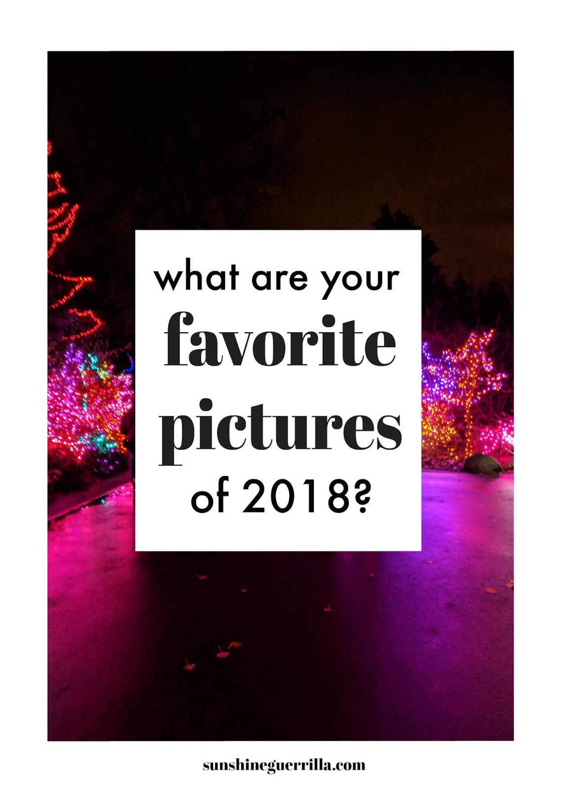 What are your Favorite Pictures of 2018? - Sunshine Guerrilla