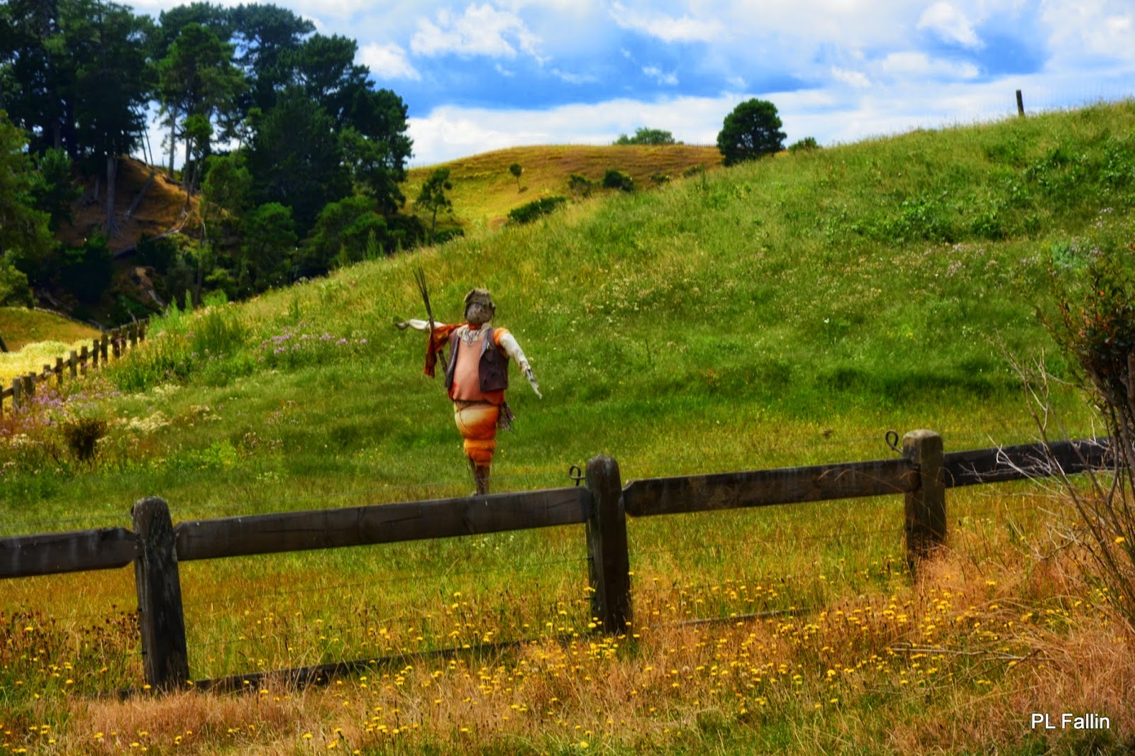 PL Fallin Photography: Hobbiton Shire - Bilbo Baggins Jumping Fences