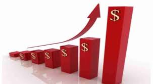 Ingresos : Importancia de los Ingresos.