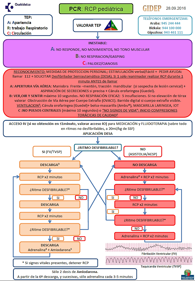 EMS SOLUTIONS INTERNATIONAL by @DrRamonReyesMD marca registrada: PROTOCOLOS DE URGENCIAS ...