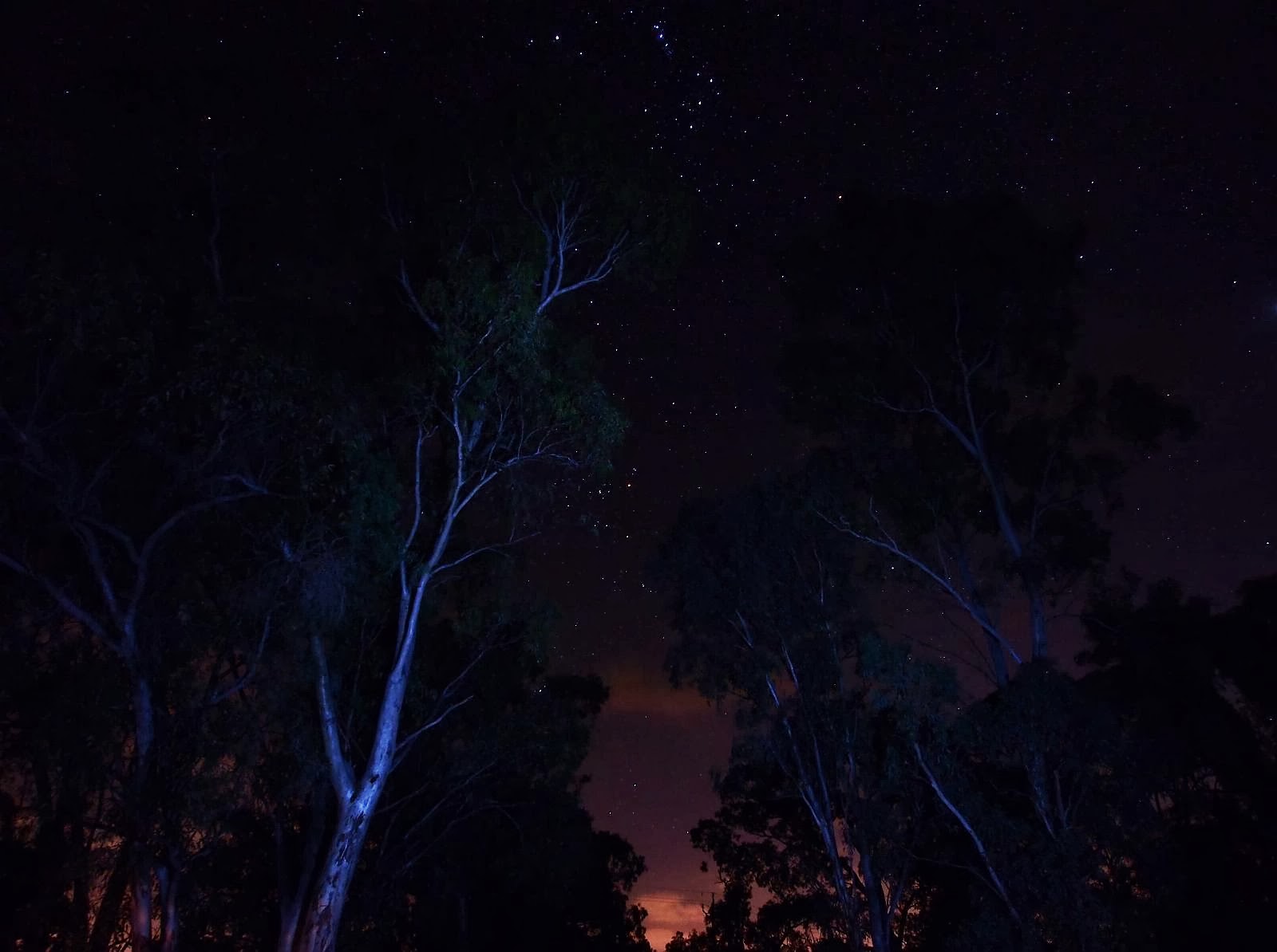 d r i n k s t e r: A VISIT FROM MARIE LINKE