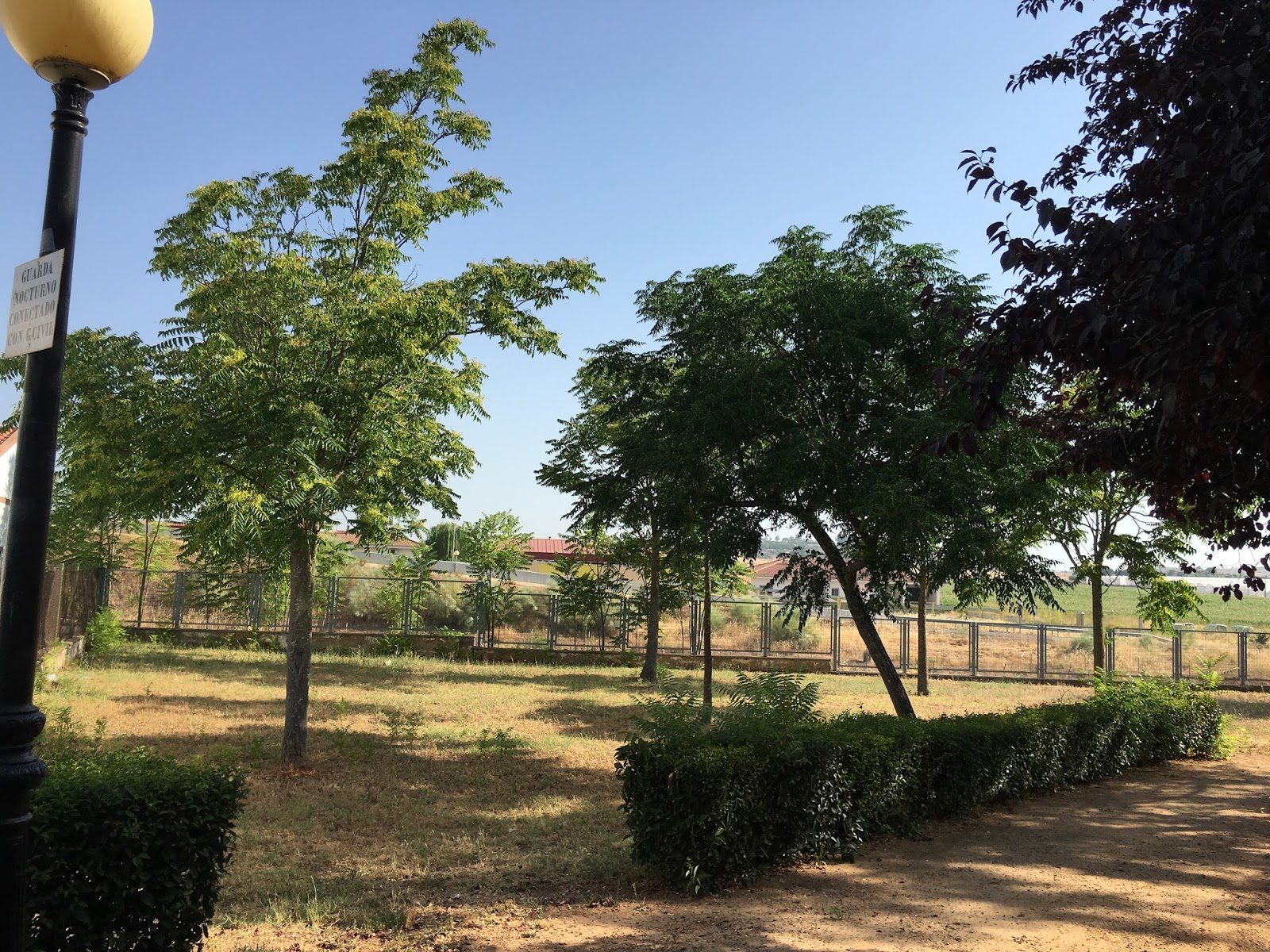 PARQUE MUNICIPAL DE MONTIJO: 7. FLORA DEL PARQUE MUNICIPAL (1). ÁRBOLES.