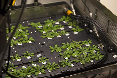 **Daryl Devoré's Blog**: The Future in Space is Getting Nearer - NASA's ...