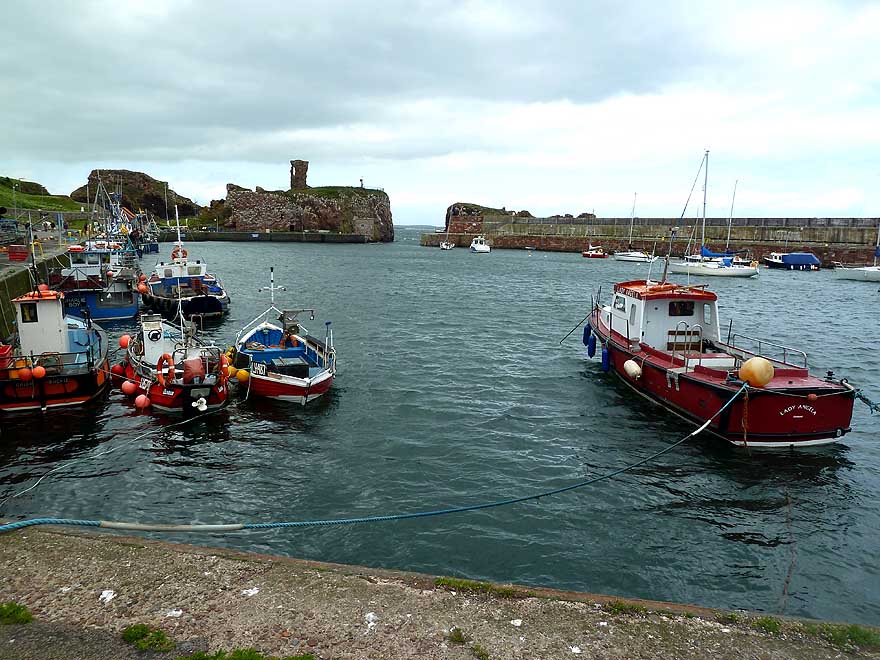 Alex and Bob`s Blue Sky Scotland: Dunbar.Bass Rock.Tantallon Castle ...