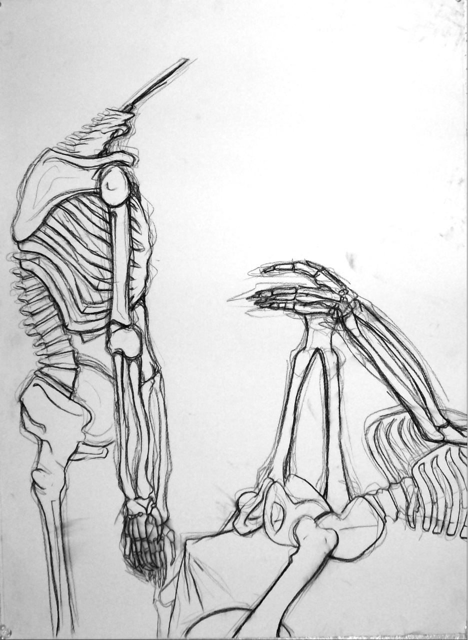 Basic Drawing 1: Skeletons "Finished to Unfinished" Part 2.