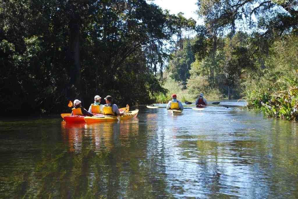 Nestlé drops idea of water pumping near Wacissa River – Florida ...