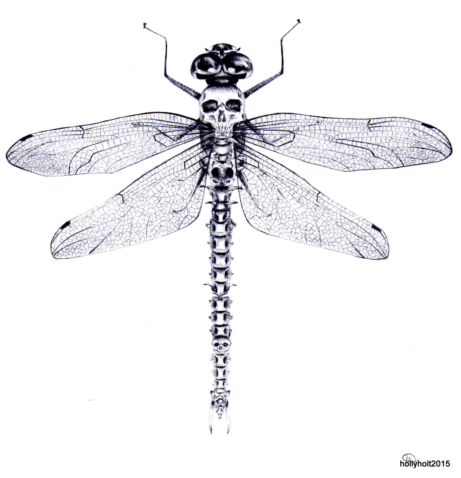 For Illustrative Purposes Only: Where everything is possible and ...