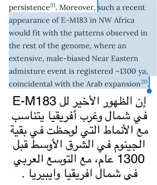 E-m81: هل صحيح ان عينات Ifri n'Amru Moussa حملت اقدم عينة ل *e-m81