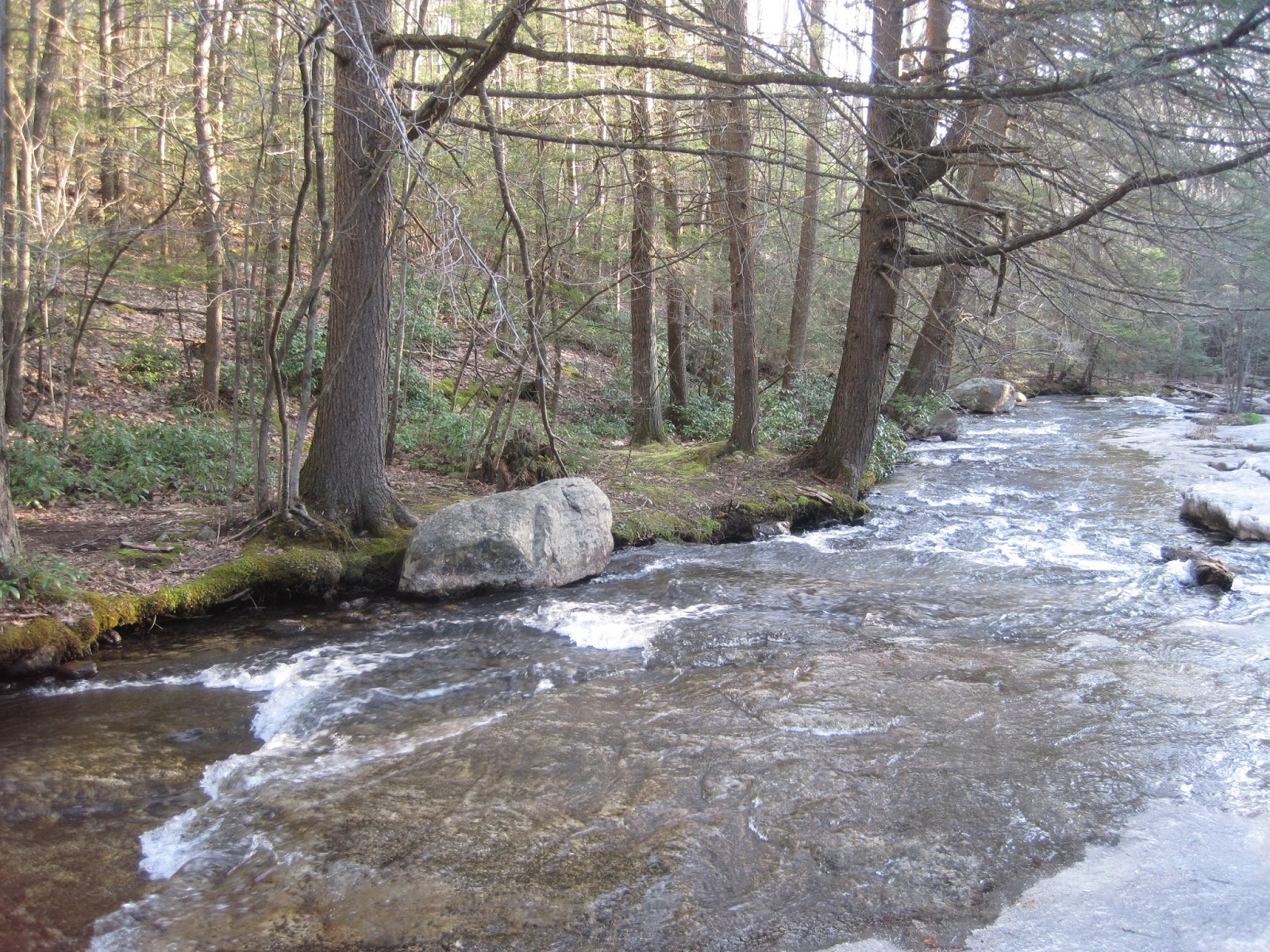 The North River: Thin Blue Lines