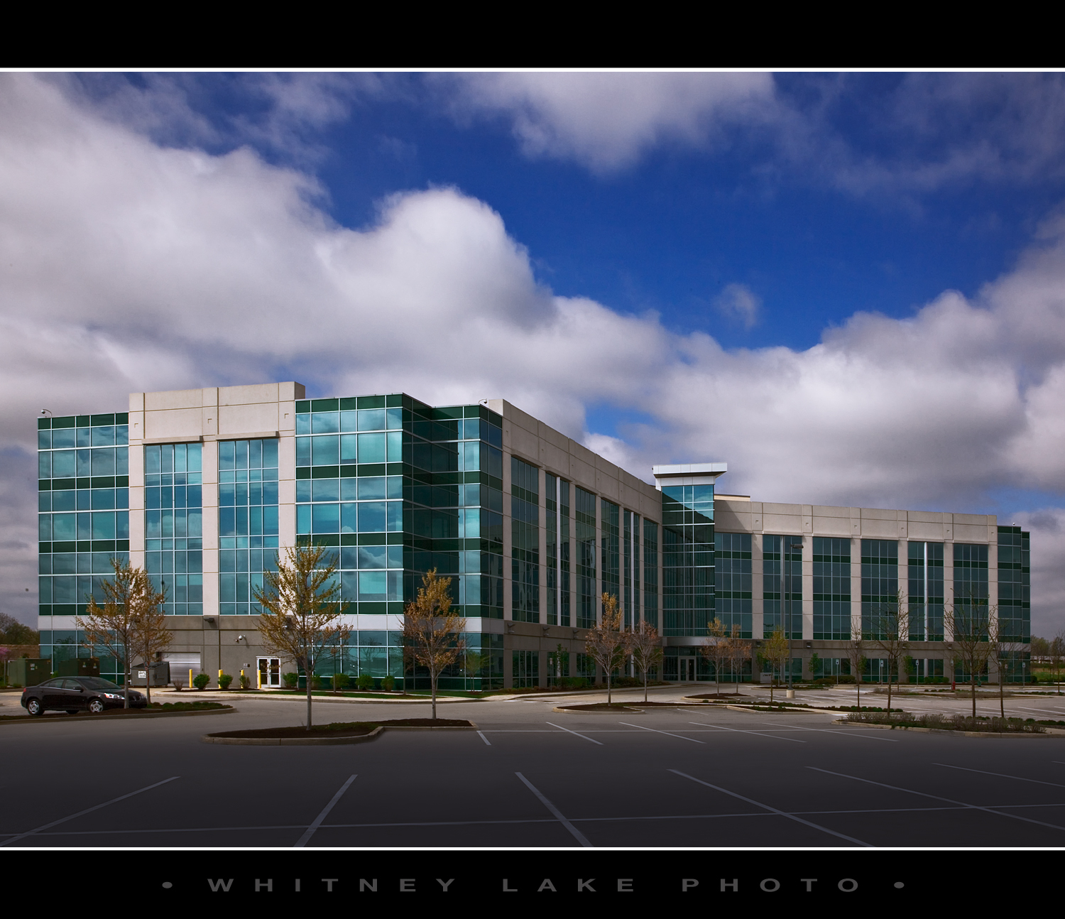 Whitney Lake ~ Artist