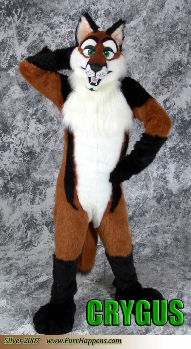 Ms. Hunt: GUIDE TO BECOMING A FURRY!