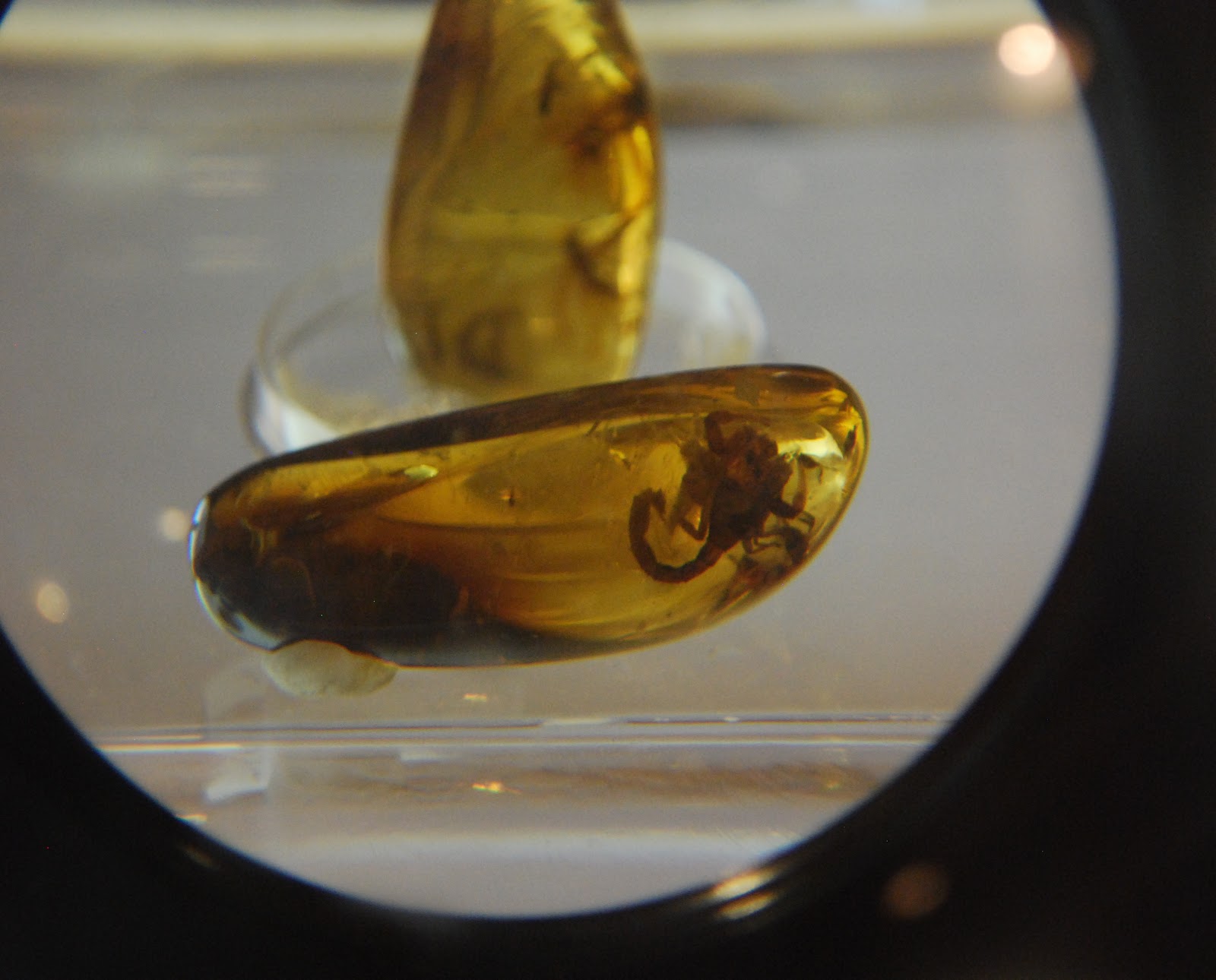 Artesanía Ritual http://www.artesaniaritual.com/: Ambar, una resina con ...