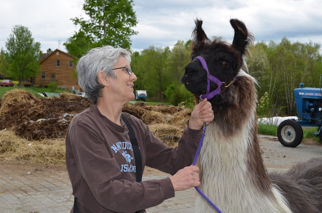 Henry Glass Fabrics: Designer Spotlight - Meet Debi Hron