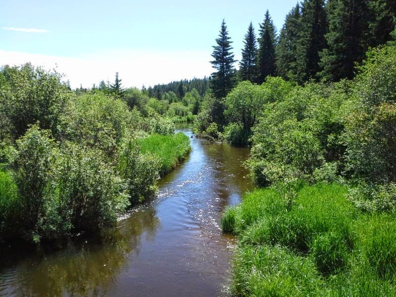 Country Pleasures Fly Fishing: North Raven River