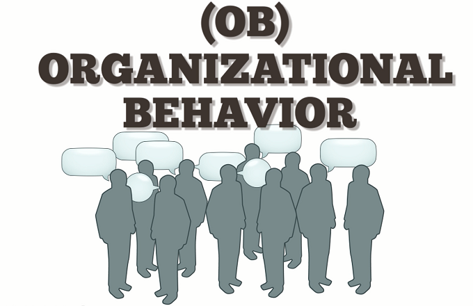 What is Organizational Behavior? | Business Consi