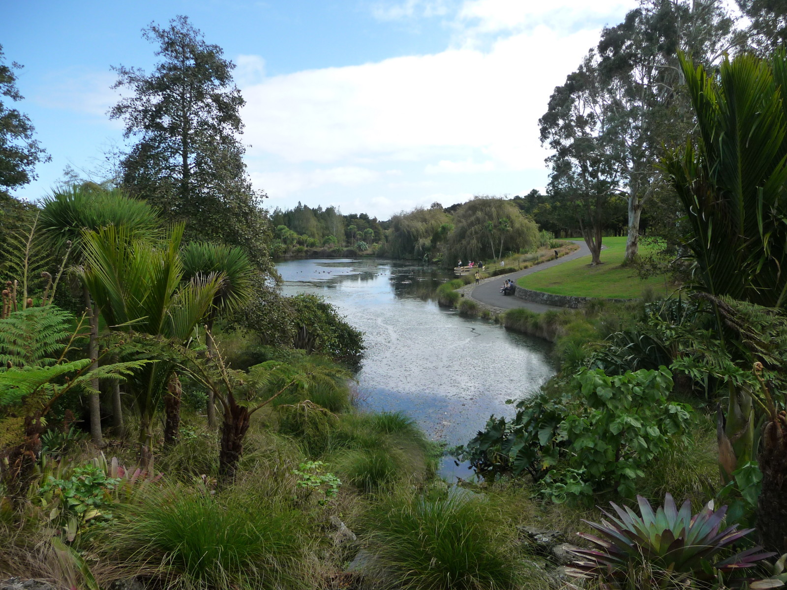 Adventures in New Zealand: Auckland Botanic Gardens