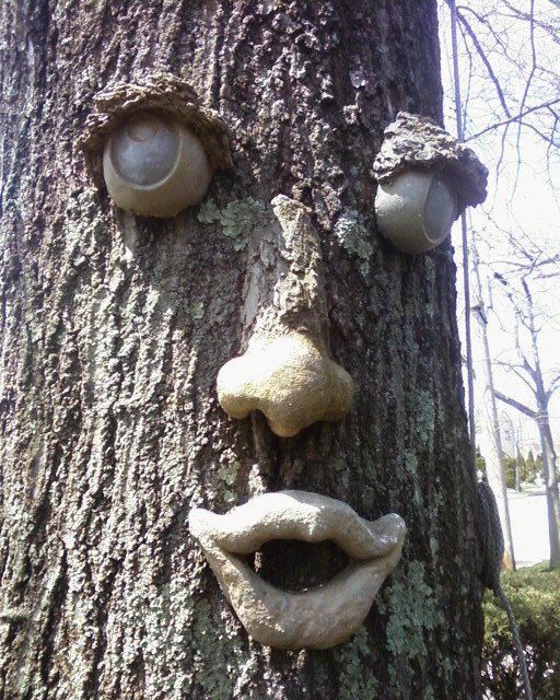 For The Love Of Pete Steele: 05.11