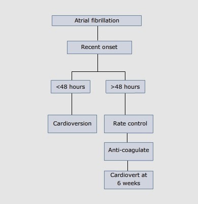 Adult Emergency Medicine: Atrial Fibrillation