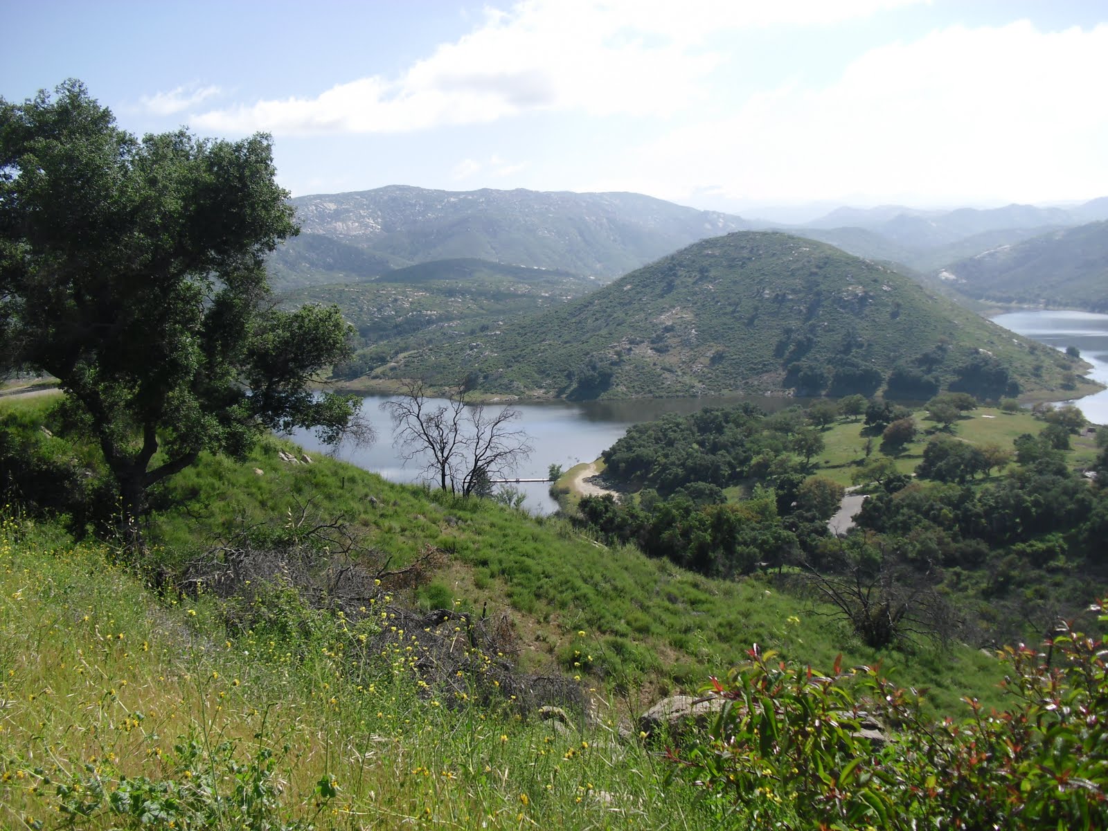 Walking Here and There!: Lake Sutherland (#60)
