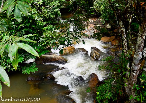 Air Terjun Jeram Gading, Jelebu | Jas-du-it