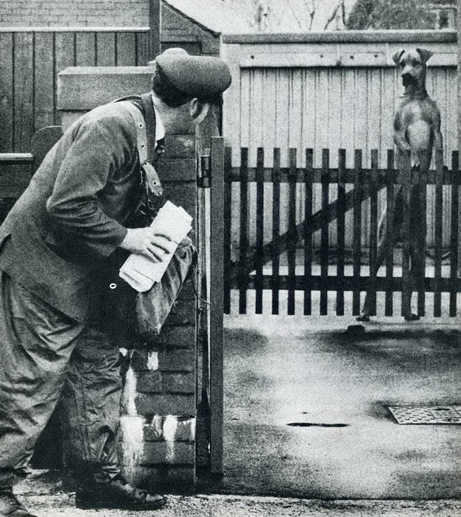 Vintage Humorous Photos ~ Vintage Everyday