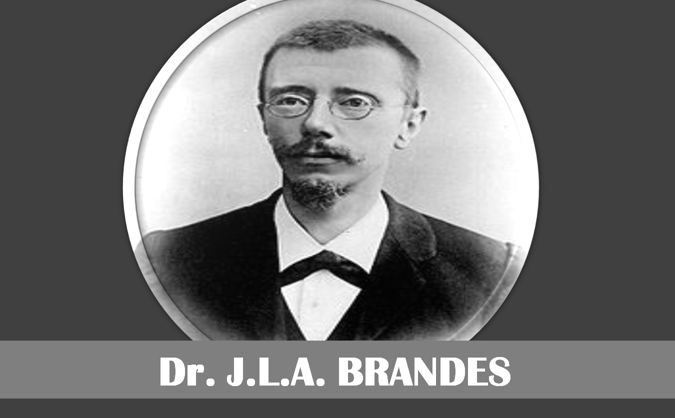 J.L.A. Brandes Dalang Penemuan Naskah Negarakertagama Dan Pararaton ...