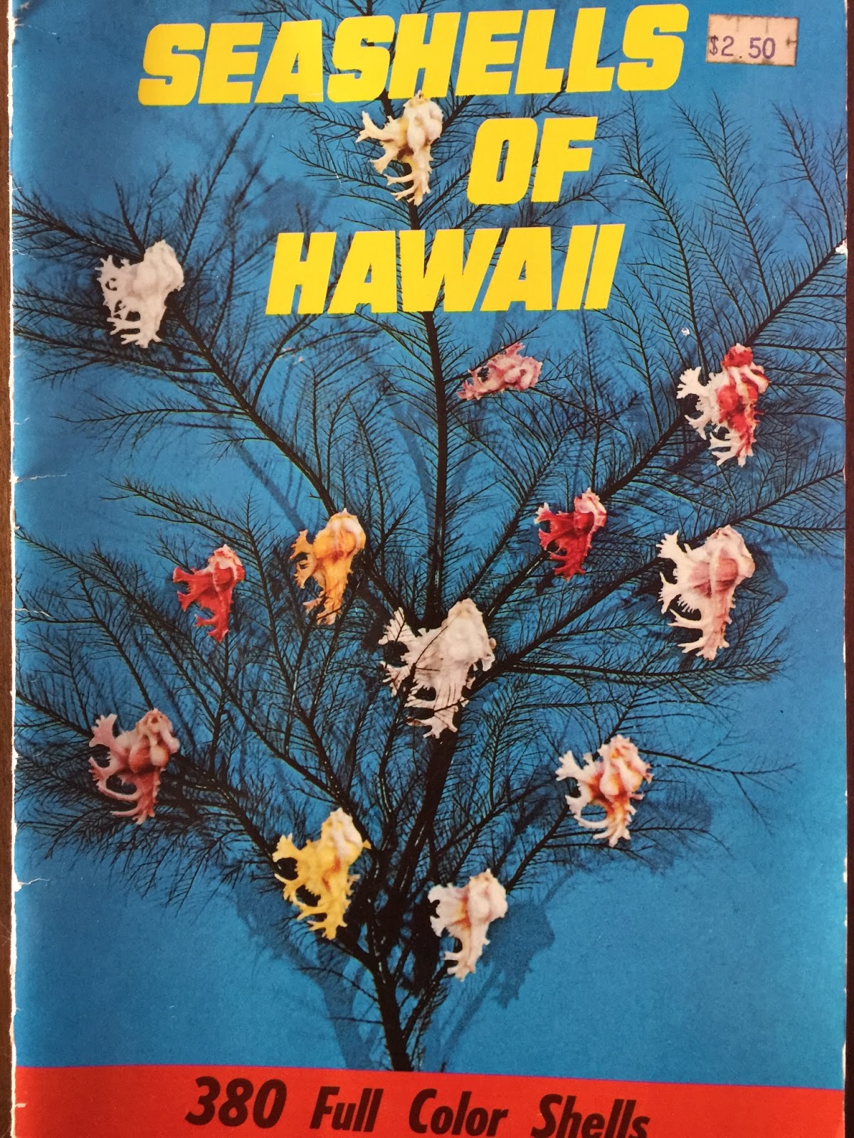 She Sells Seashells: Book Review: Seashells of Hawaii by Stephen J. G ...