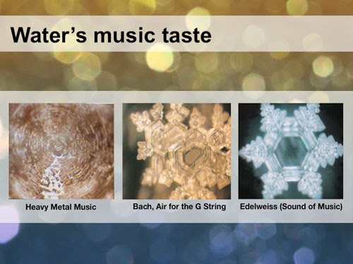 ...BEAUTY OF SYMBIOSIS...: Facts of Life..... Miracles of Water