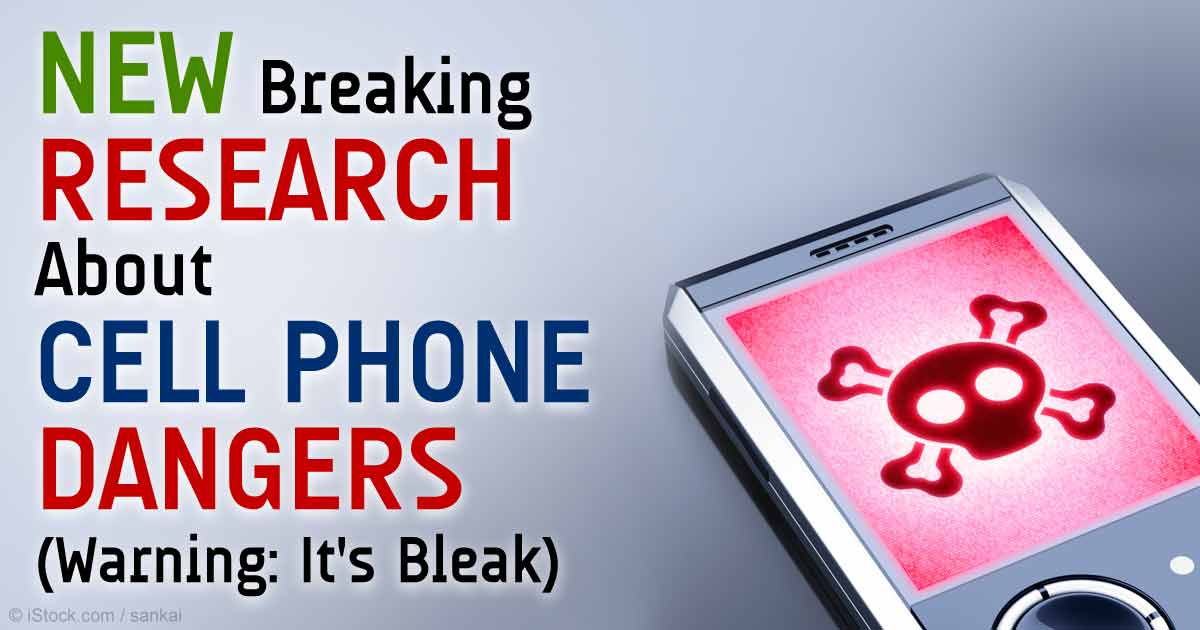 BUKIT LANJAN: 1.5 billion smart phones sold in 2017, and they are ...