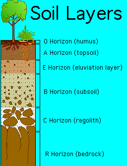 Lapisan Tanah (Soil Horizon) dan Karakteristiknya - Guru Geografi