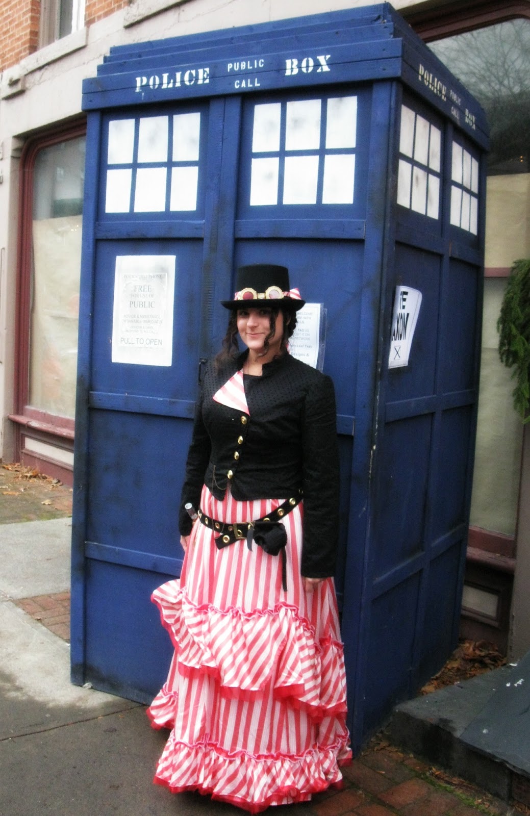 Steampunk Bodice (& the TARDIS)