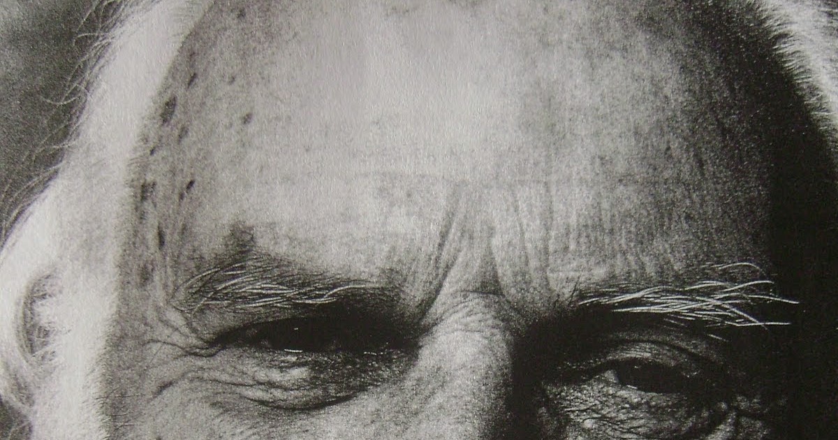 Phytospiritualité: Sagesse pour le XXIe siècle de Douglas Harding (chez ...