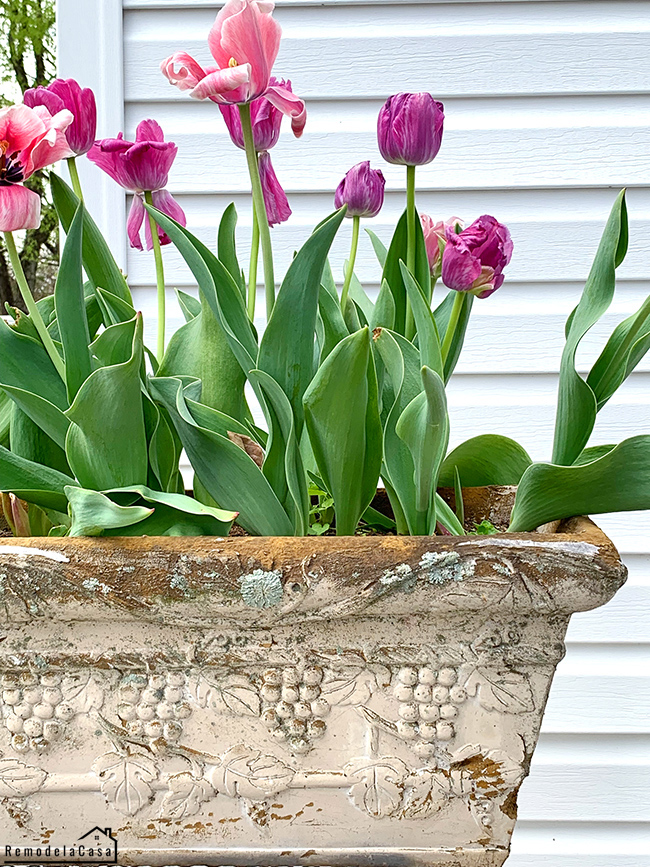 Beautiful Spring Colors - Remodelando la Casa